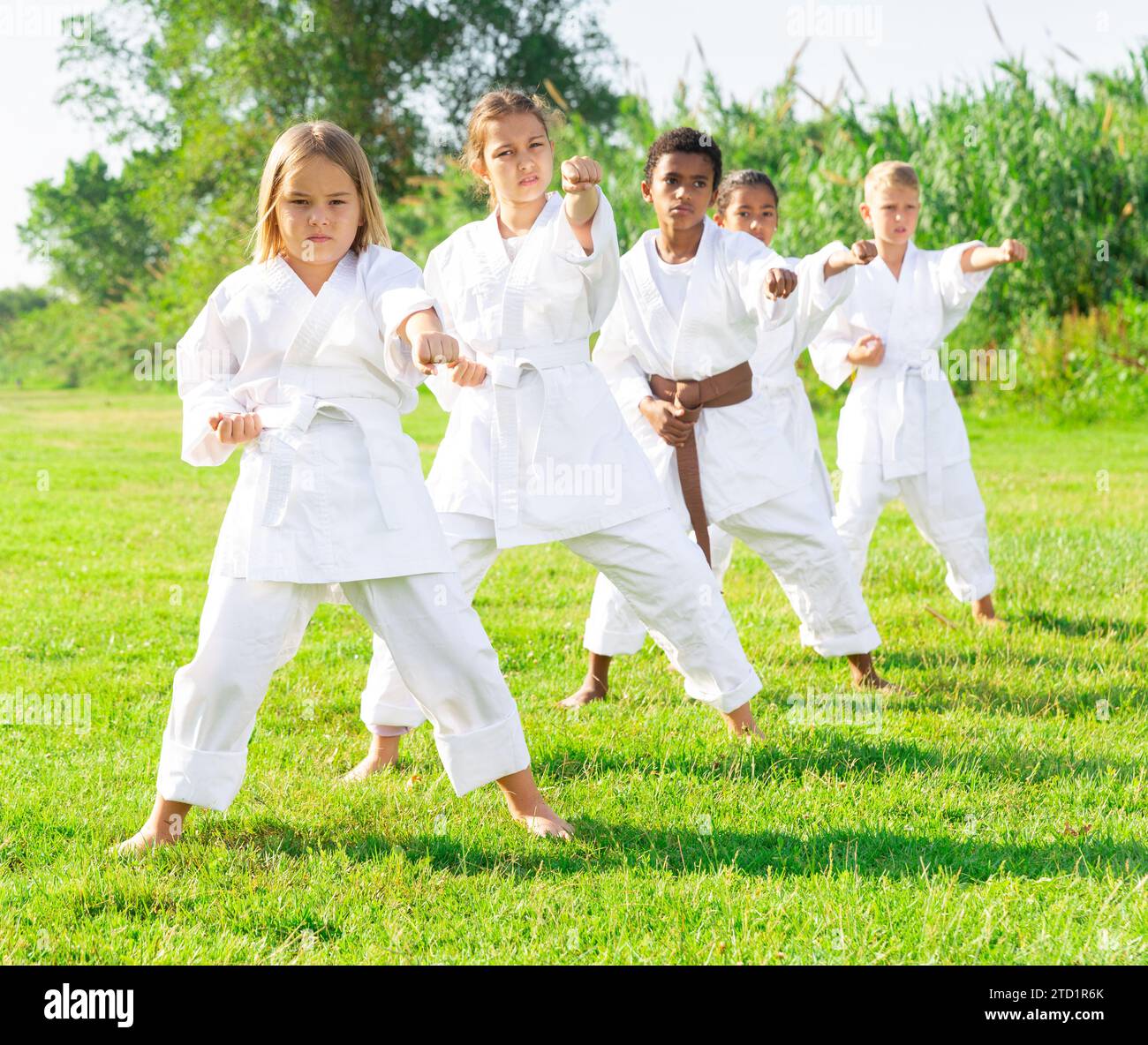Group of young children doing karate kicks during karate class in park ...