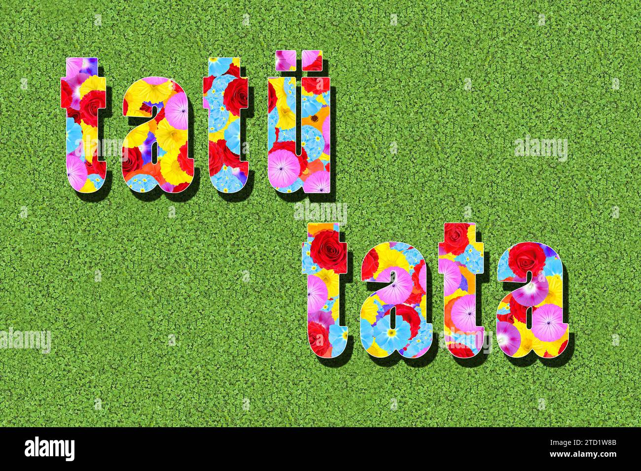 Tatü Tata is German children's language for a siren of a police car ...