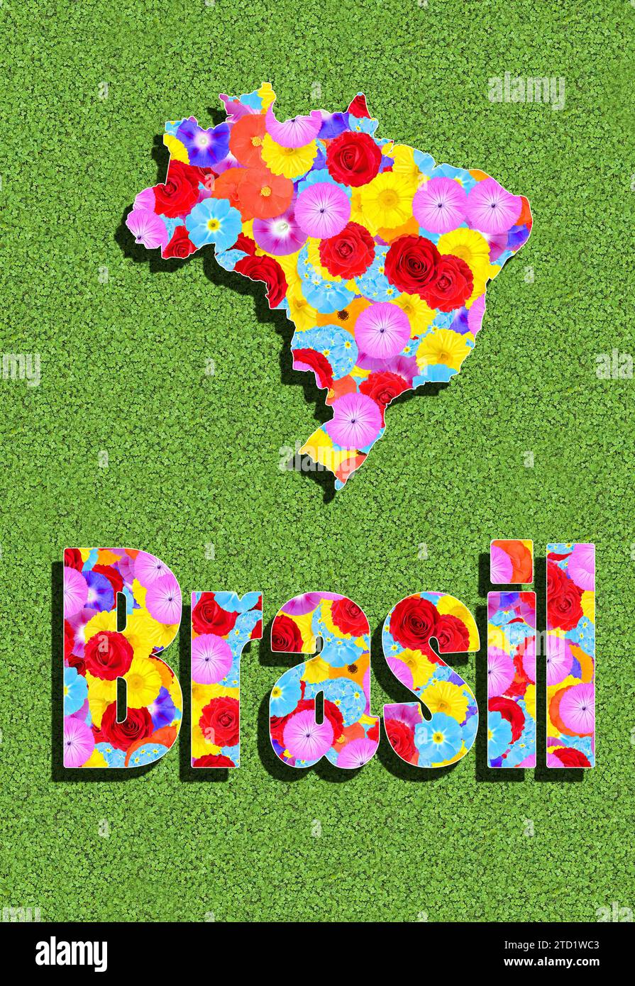 outline and written word of Brazil, Brasil, with colorful flowers on a ...