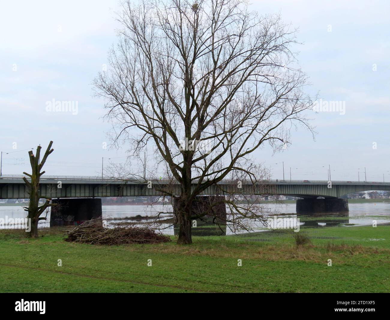 Was das Hochwasser nicht schafft, das besorgen die Kettensaegen ...