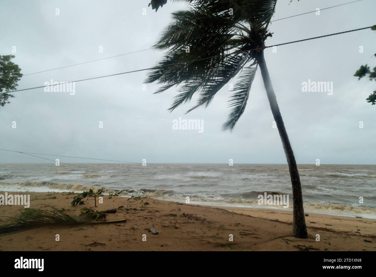 Palm trees seen swaying in heavy wind during the Tropical Cyclone ...