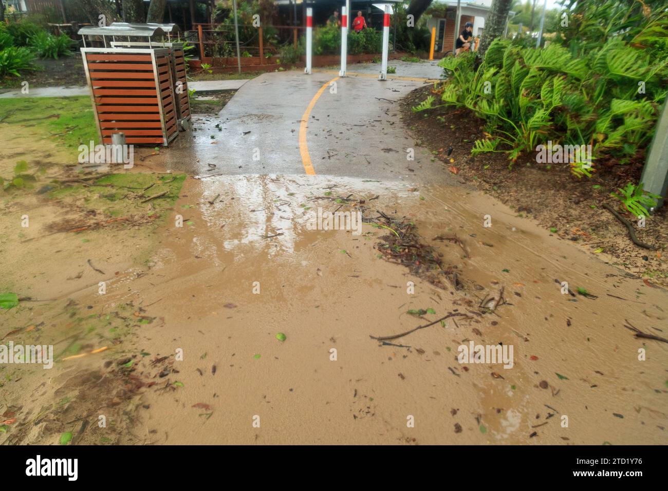 December 14, 2023, Cairns, Queensland, Australia: Sand washed ashore ...