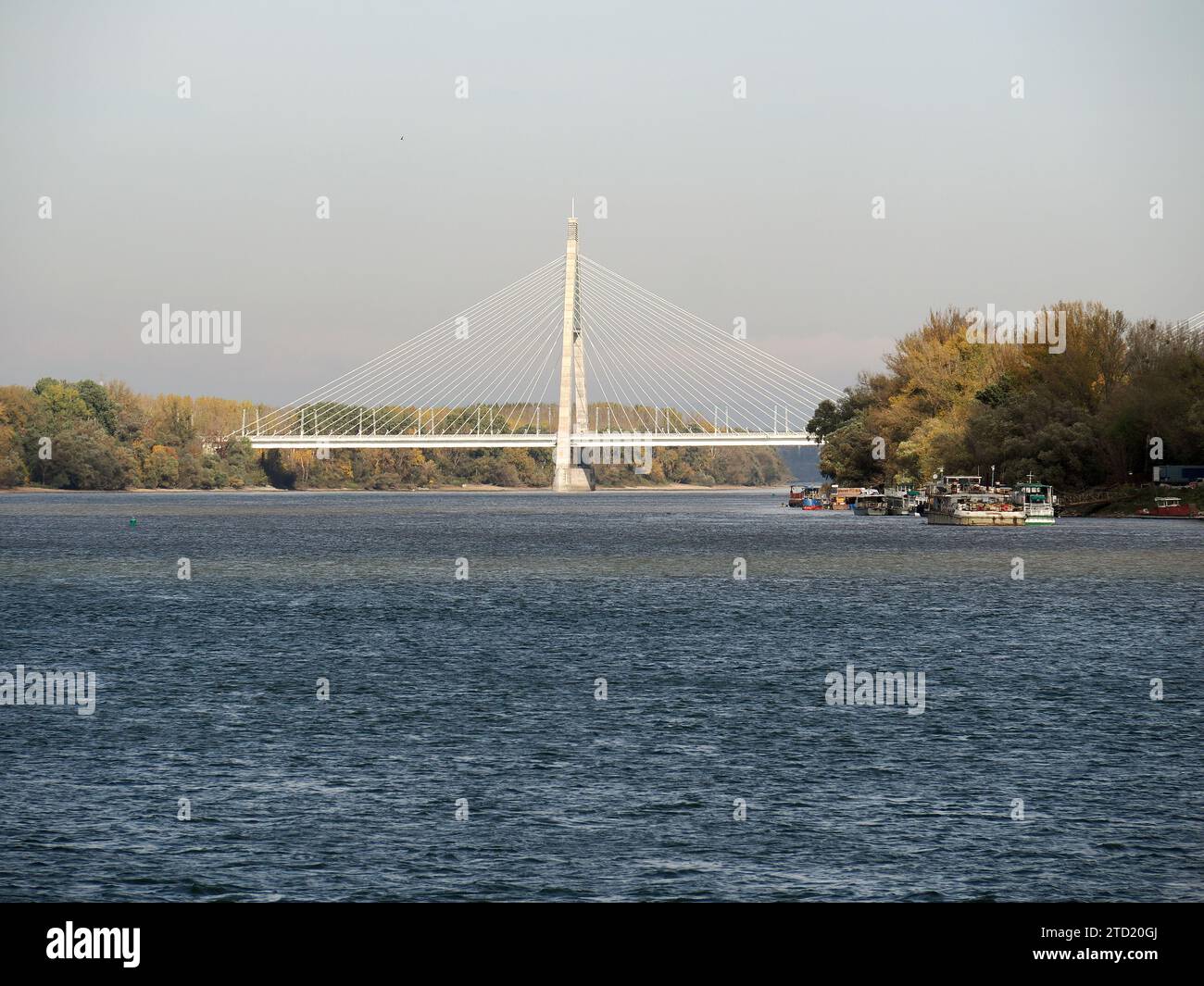 Megyeri Bridge, cable-stayed bridge, Római Part, Roman Beach, Roman ...