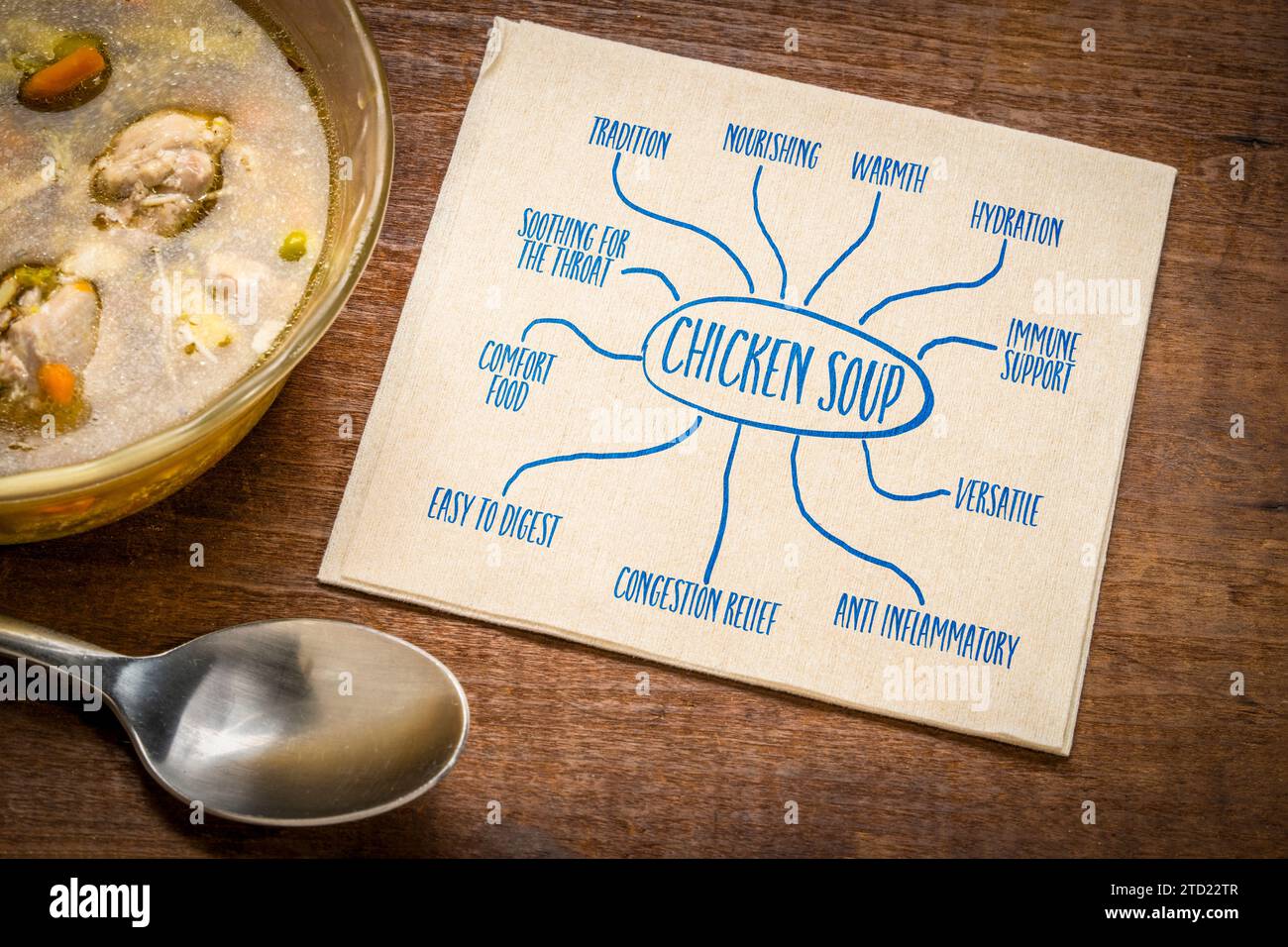 chicken soup - infographics or mind map sketch on a napkin with a bopwl ...