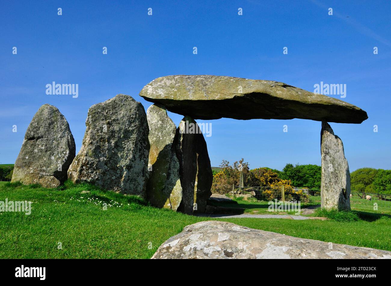 Pentre Ifan burial chamber,megalithic monument erected in Neolithic age ...