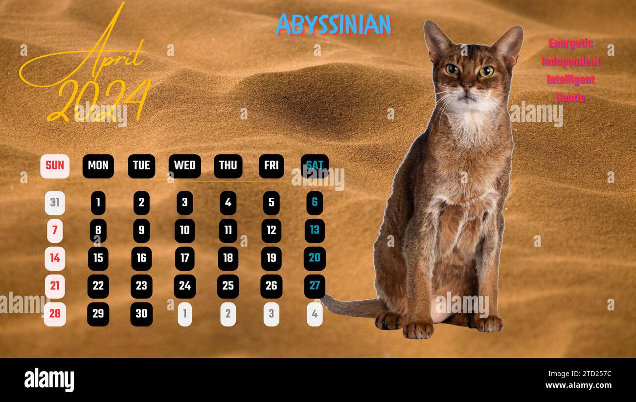 365 day calendar hi-res stock photography and images - Alamy