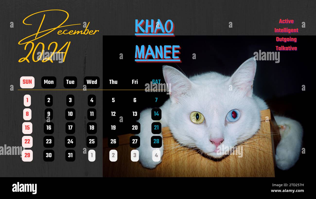 Chinese cats drawing hi-res stock photography and images - Alamy