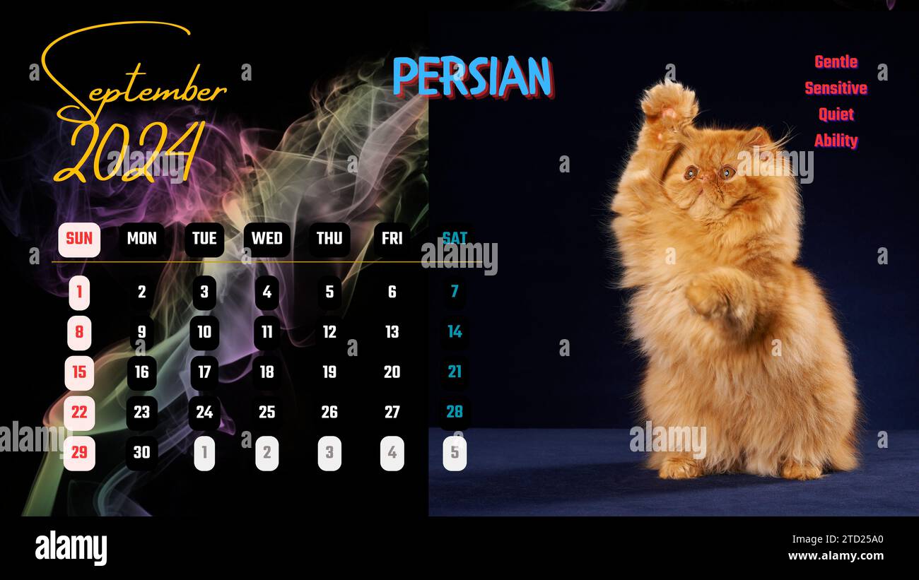 2024 Cats Calendar 13 pages September Stock Photo - Alamy