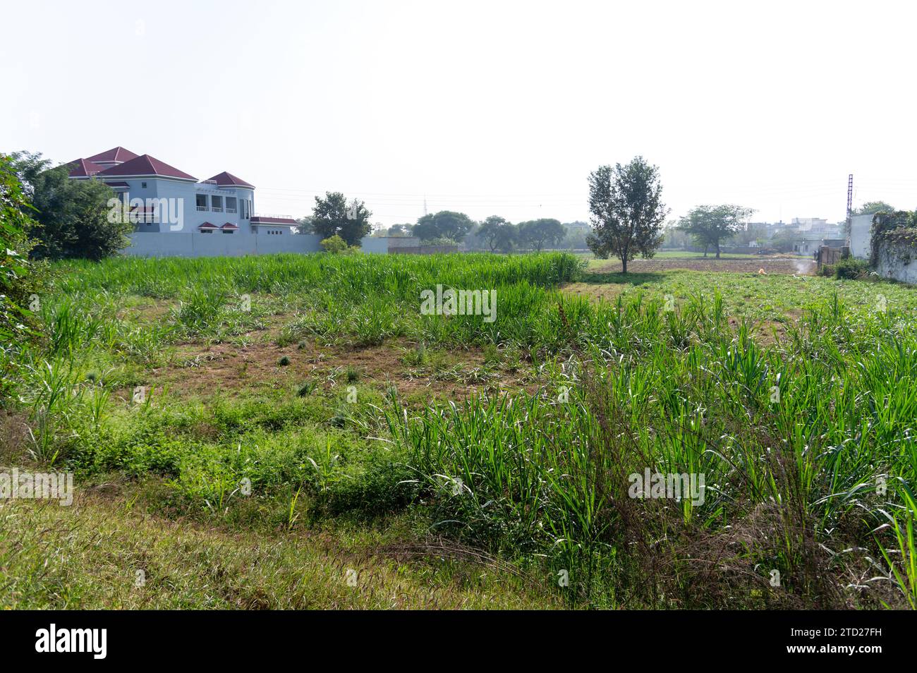 Scene in Mangla, Pakistan Stock Photo - Alamy