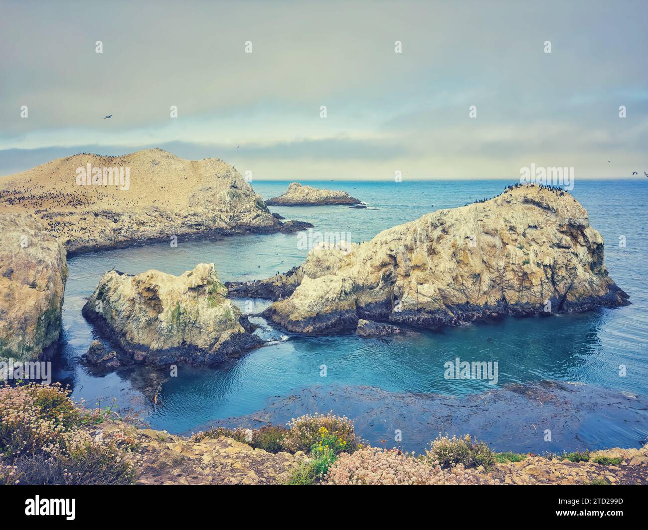 Scenic view of the Bird Islands occupied by colonies of cormorants at ...
