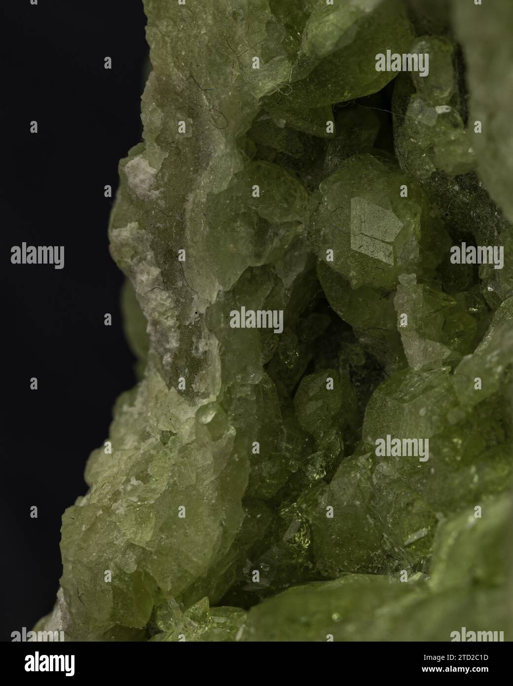 Showcasing unique surface textures hi-res stock photography and images ...