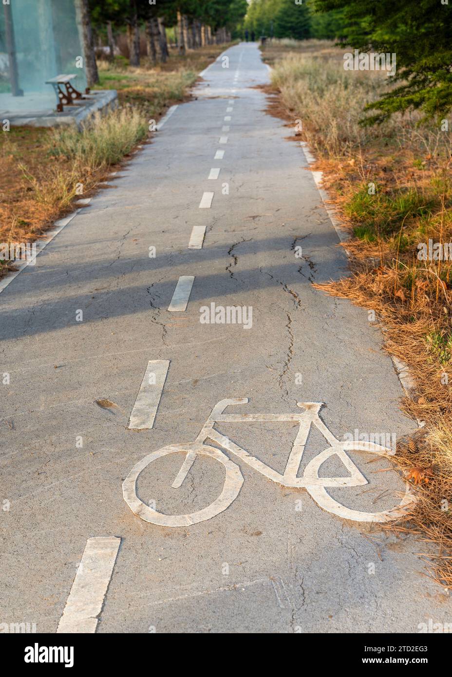 The asphalt road for bicycles Stock Photo - Alamy