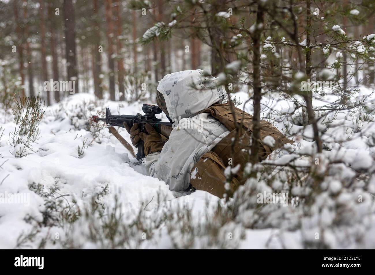 A U.S. Marine assigned to Combat Logistics Battalion 6, Combat ...