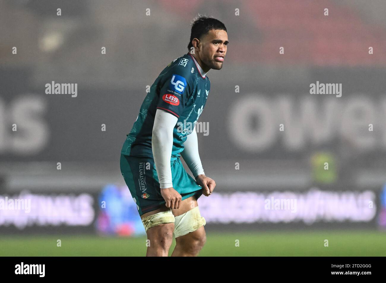 Vaea Fifita of Scarlets during the European Rugby Challenge Cup match ...