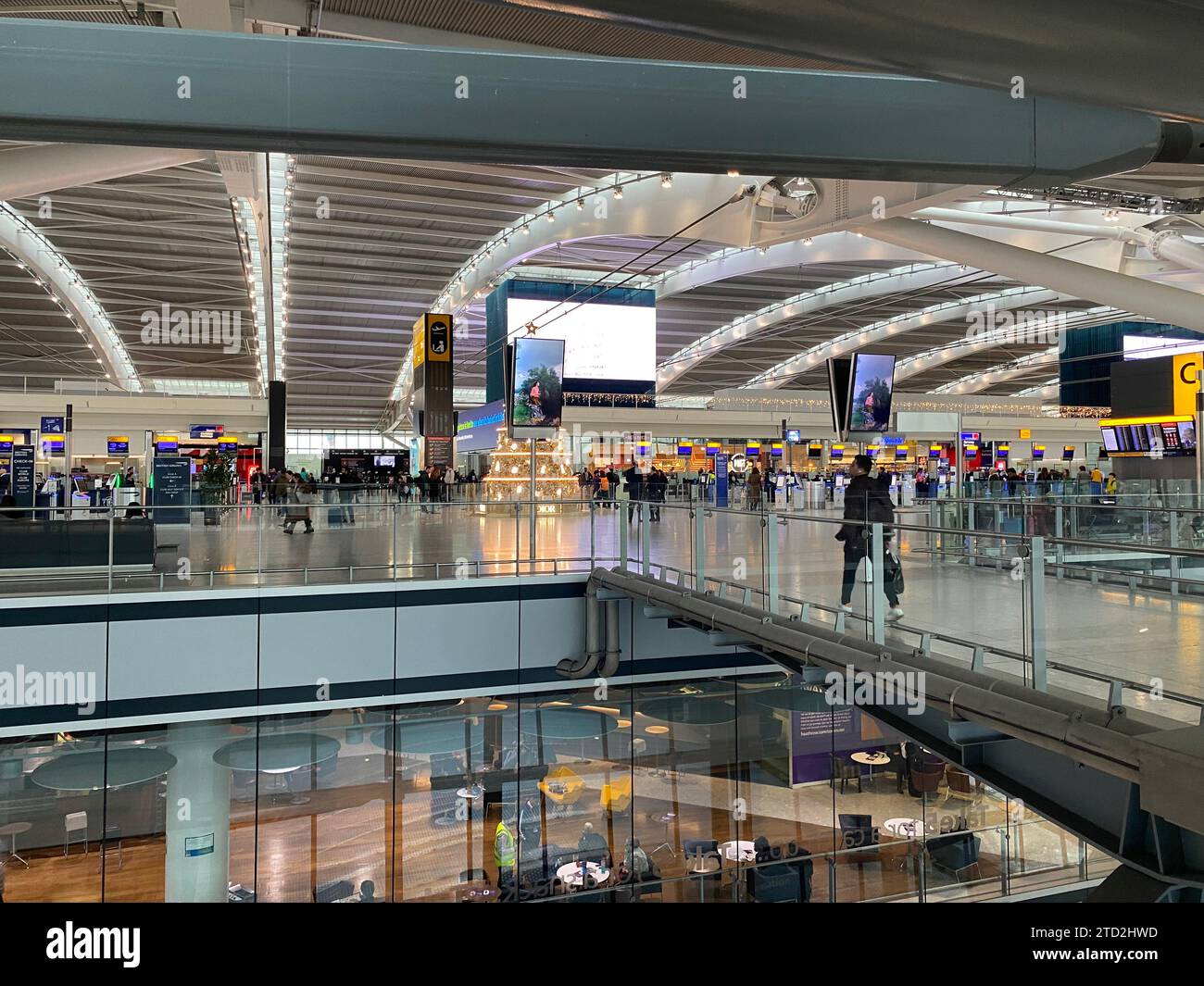 Dior themed tree hi-res stock photography and images - Alamy