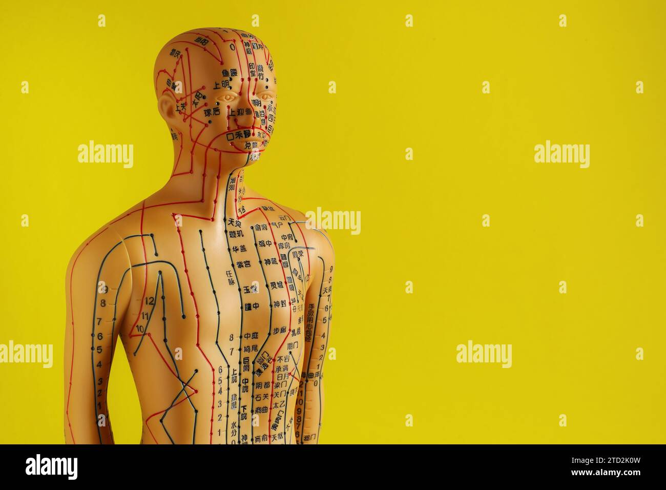 Acupuncture model. Mannequin with dots and lines on yellow background ...