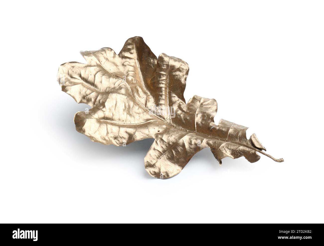 One golden oak leaf isolated on white. Autumn season Stock Photo - Alamy
