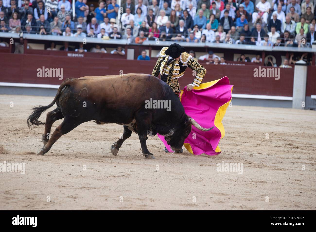 Rey de ventas hi-res stock photography and images - Alamy
