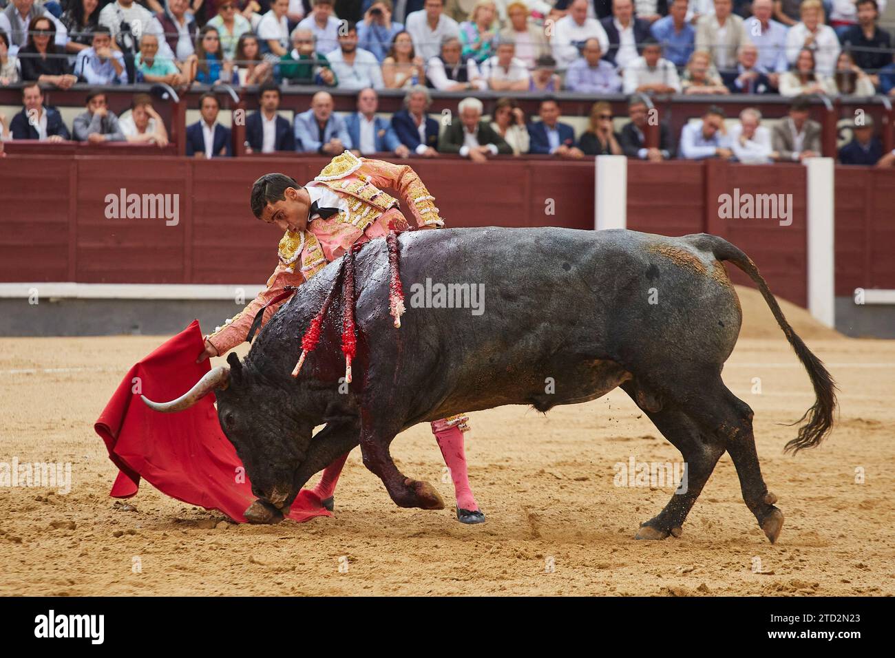 Madrid, 06/04/2023. Las Ventas bullring. Bullfight at the San Isidro ...