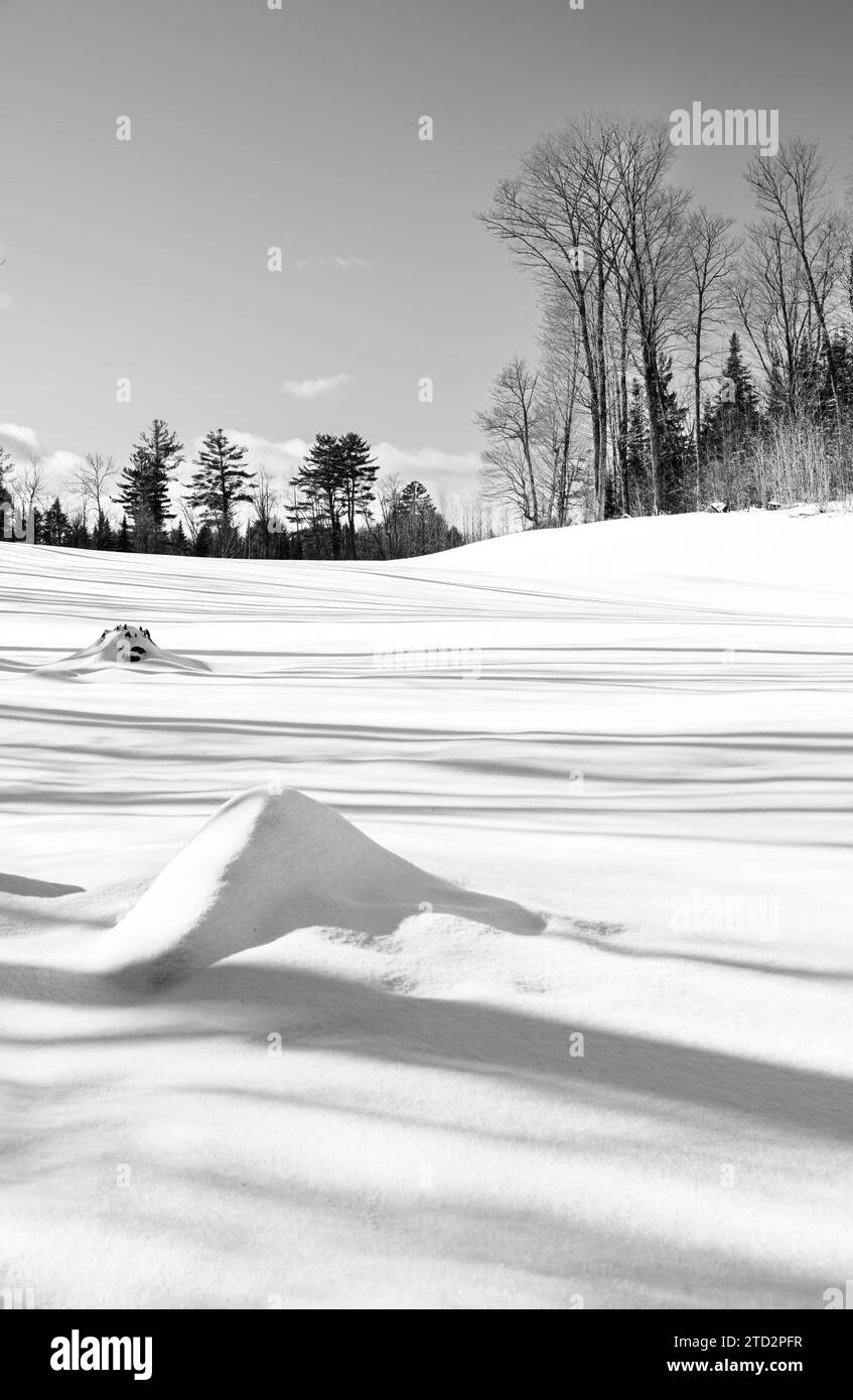 Winter field in snow Black and White Stock Photos & Images - Alamy