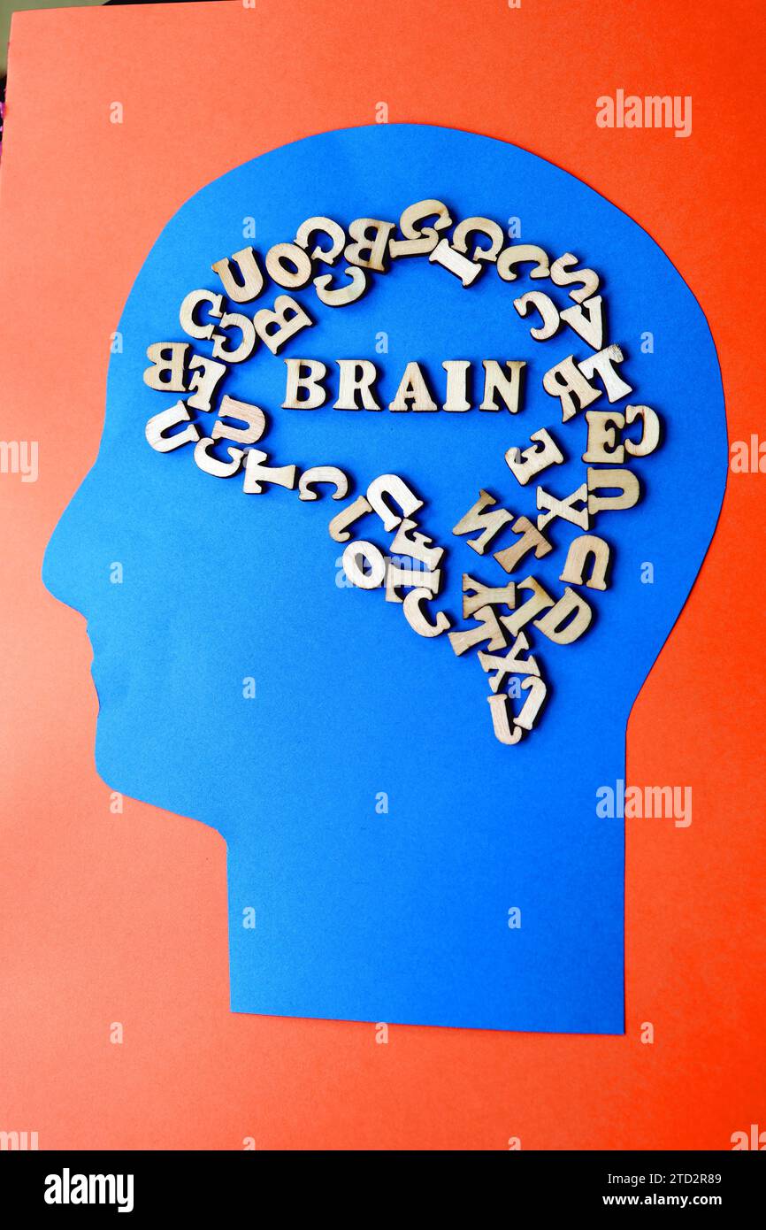 Diagram showing the human brain using a wooden panel Stock Photo - Alamy