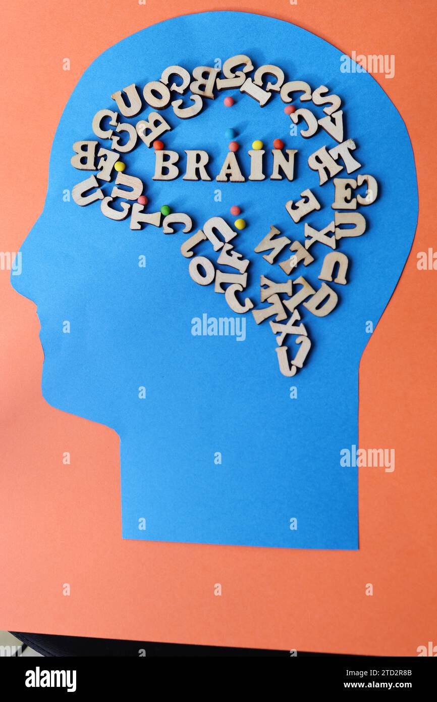 Diagram showing the human brain using a wooden panel Stock Photo - Alamy
