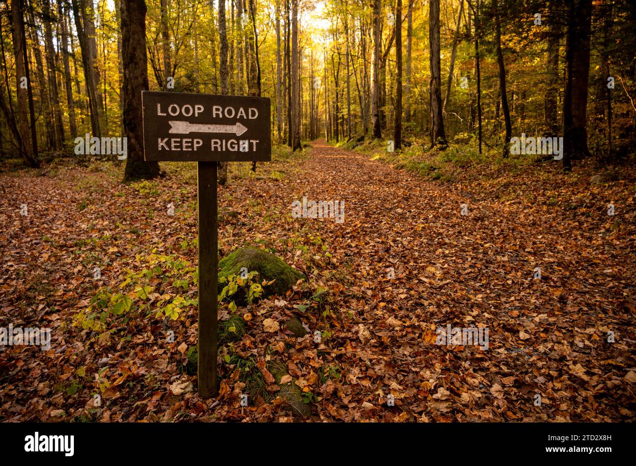 Wooden Sign Points Traffic Right on Loop Road in the Smokies Stock ...