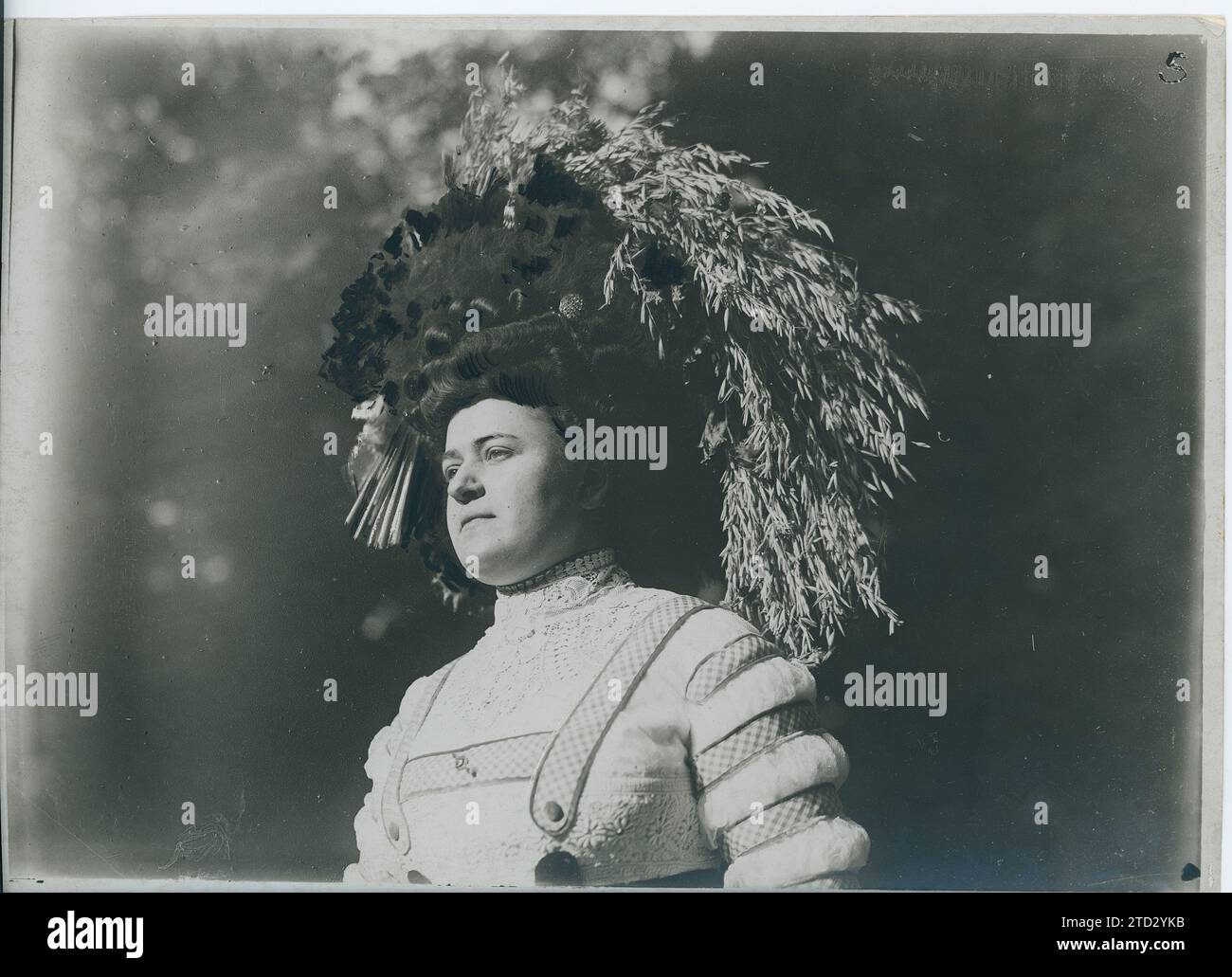 June 1908. One of the hats worn this summer by the ladies of Berlin ...