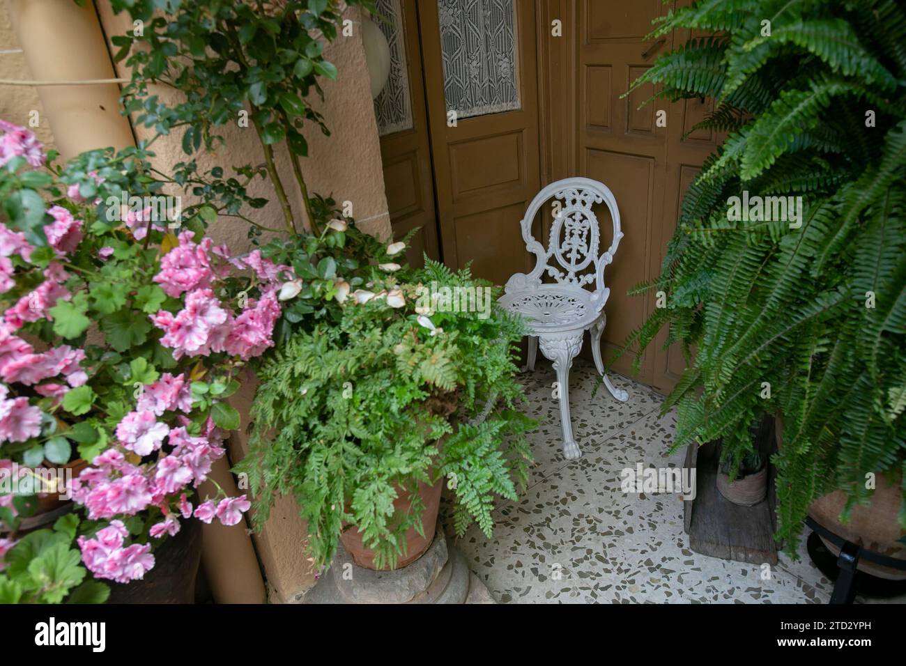 Córdoba, 05/13/2019. Patio at 15 Zarco Street. Photo: Rafael Carmona ...