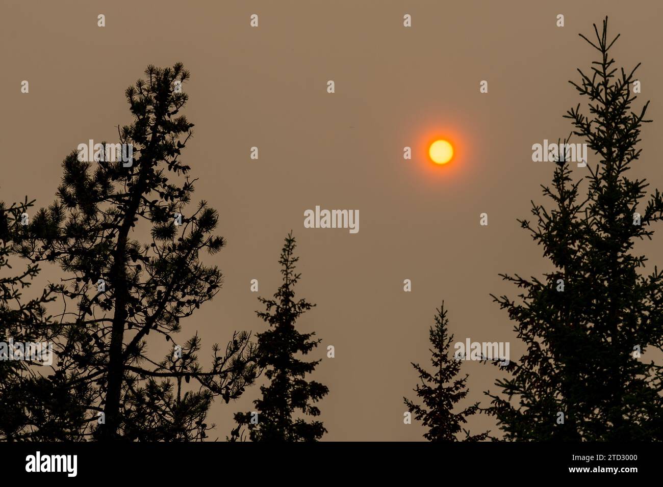 Red sky due wildfire smoke hi-res stock photography and images - Alamy
