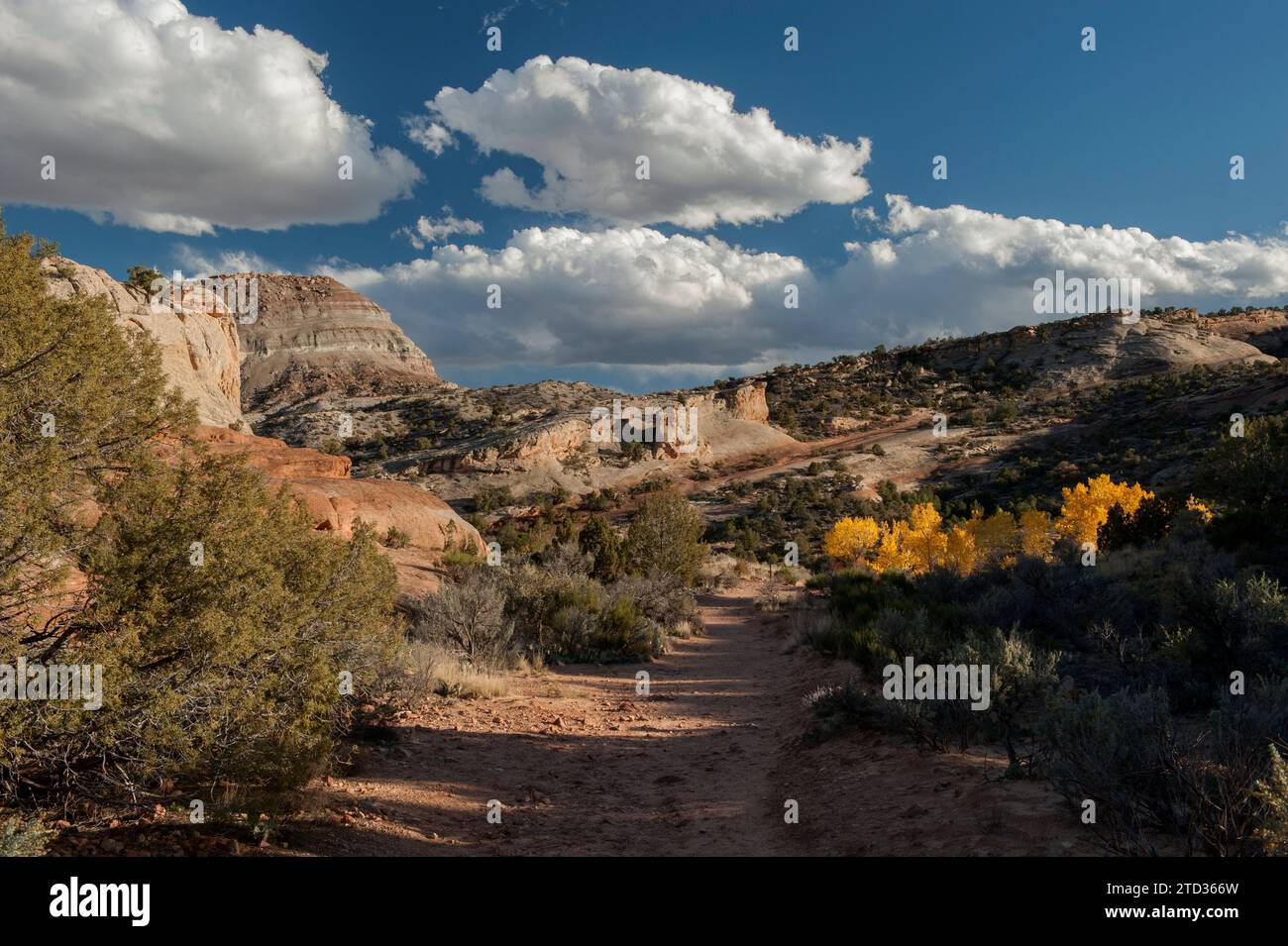 Devil's Kitchen / No Thoroughfare Canyon trail, near the beginning, in ...