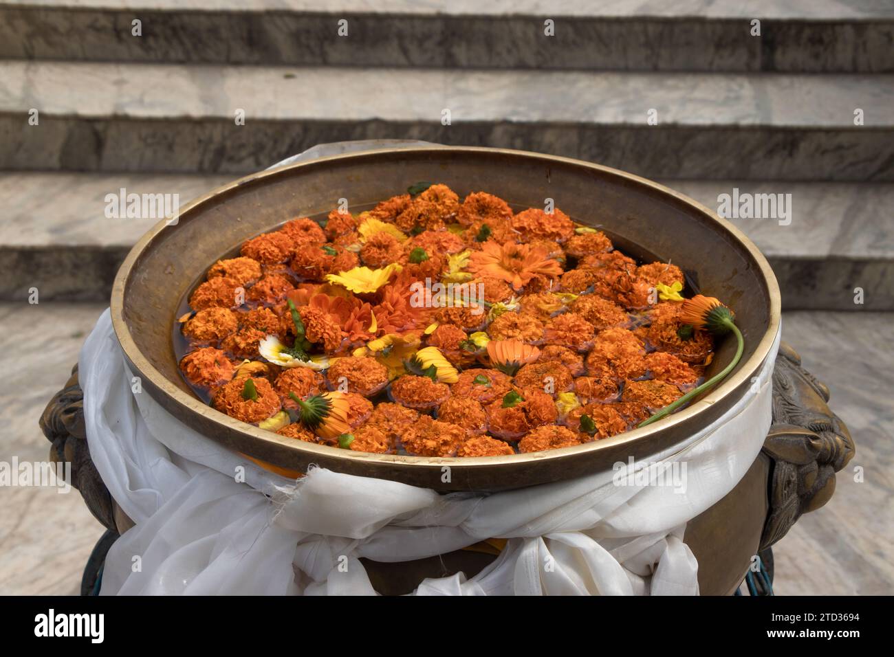 Lotus throne, just below the Golden Statues in Buddha Park ...