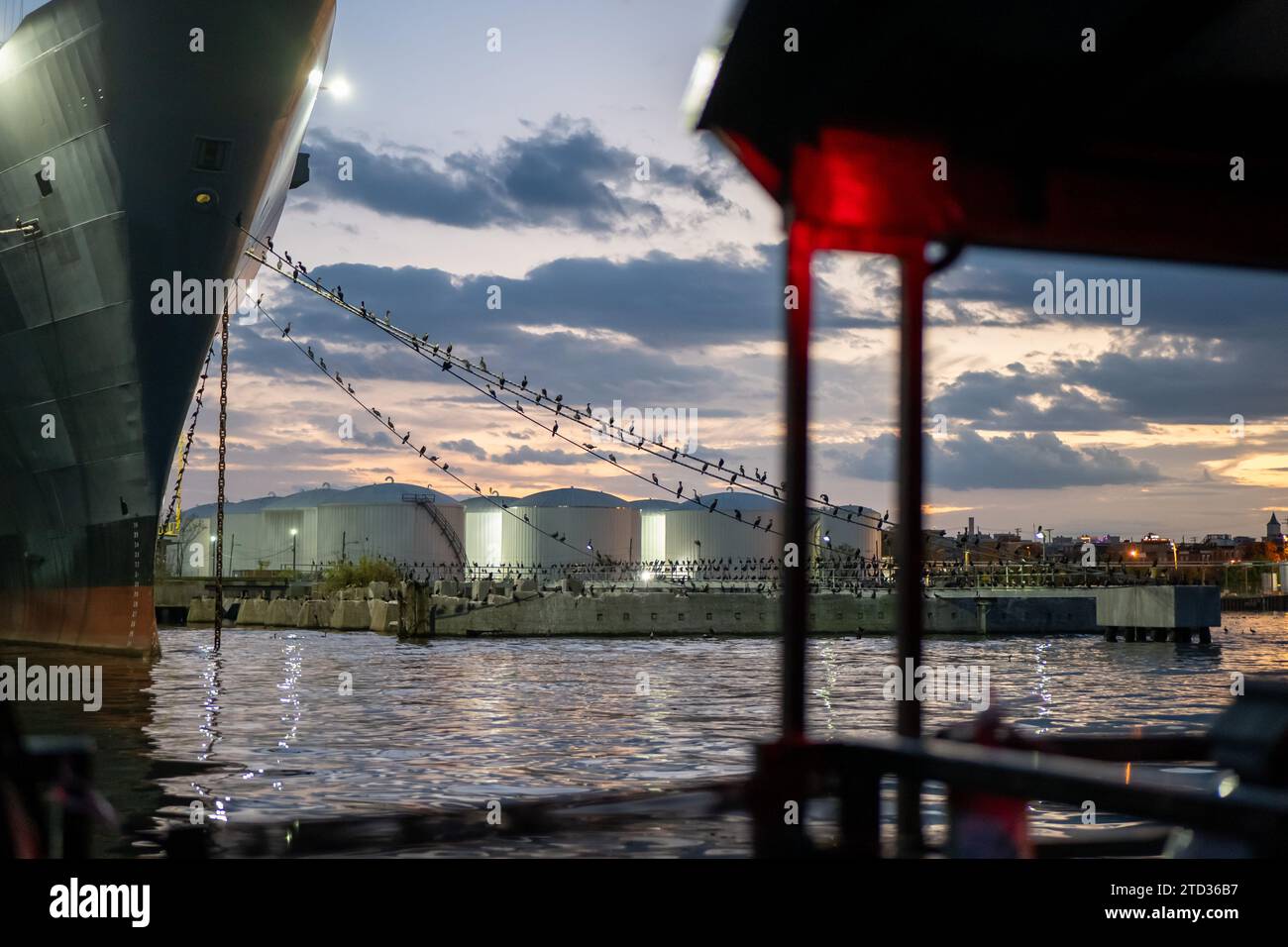 Birds Resting on a Ship Line Stock Photo - Alamy