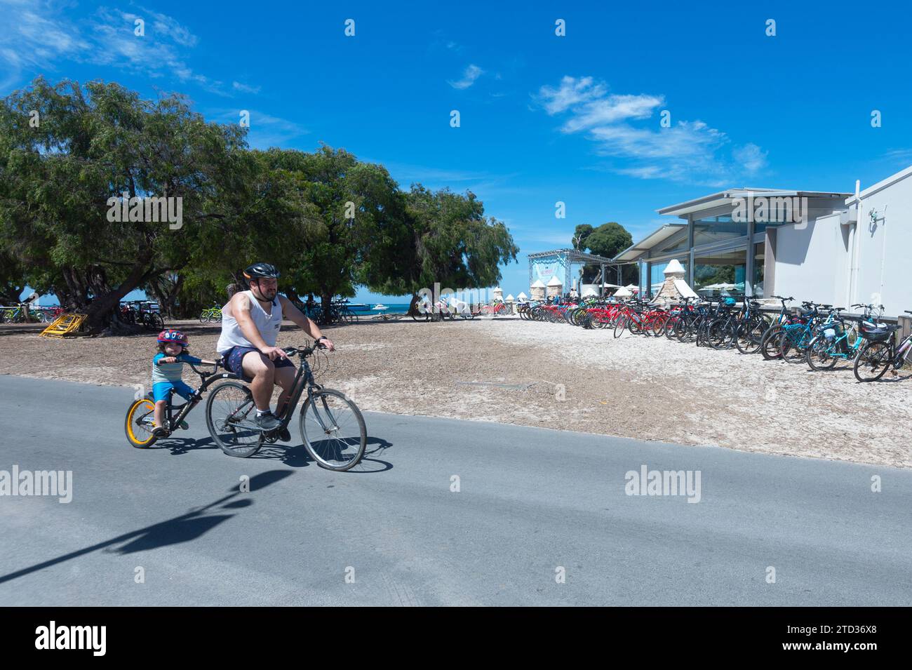 Adult male on a double bicycle towing a young child on Rottnest Island ...