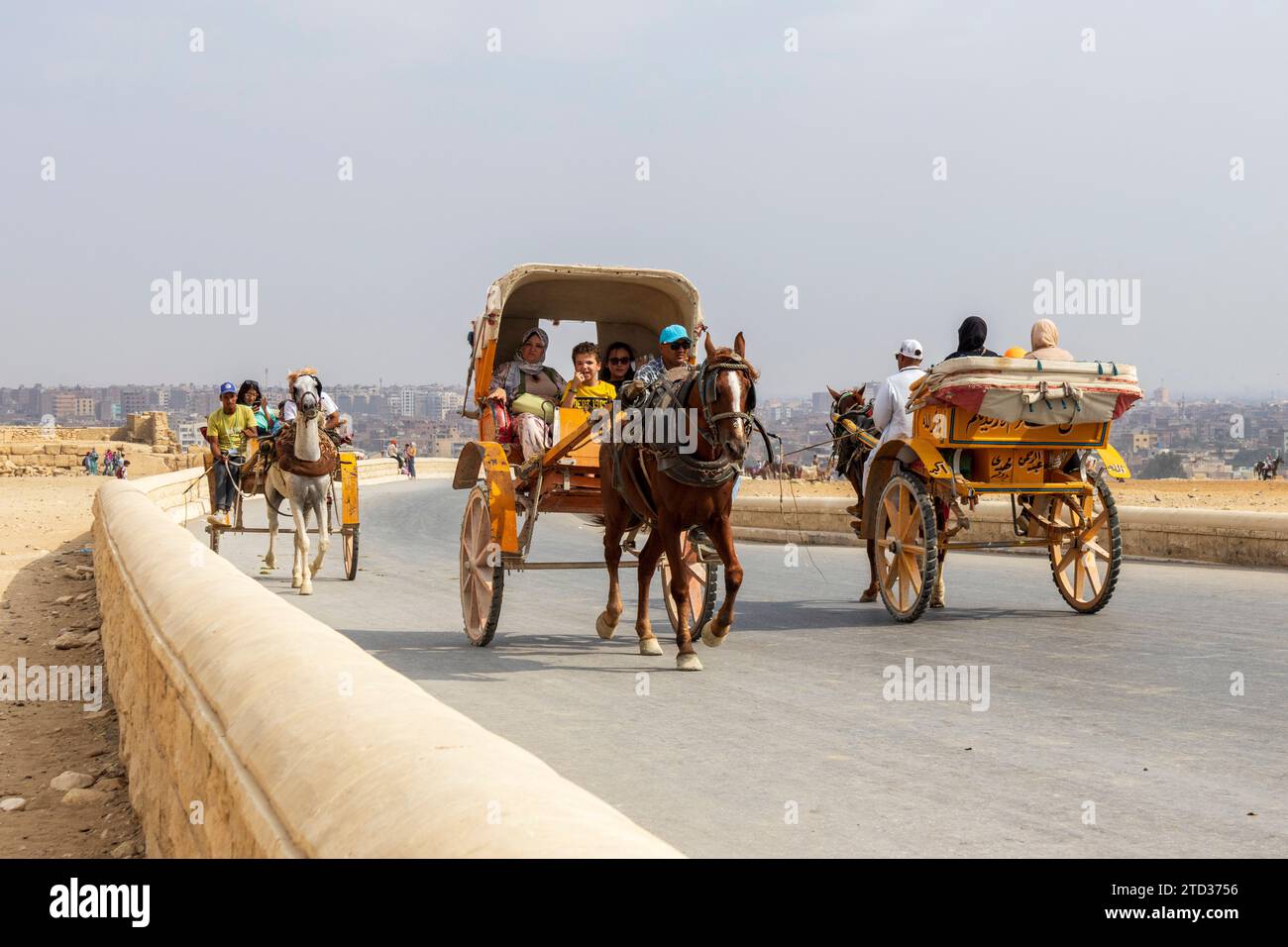Horse drawn carts or carriages carrying tourists, Giza Plateau, Gizeh ...