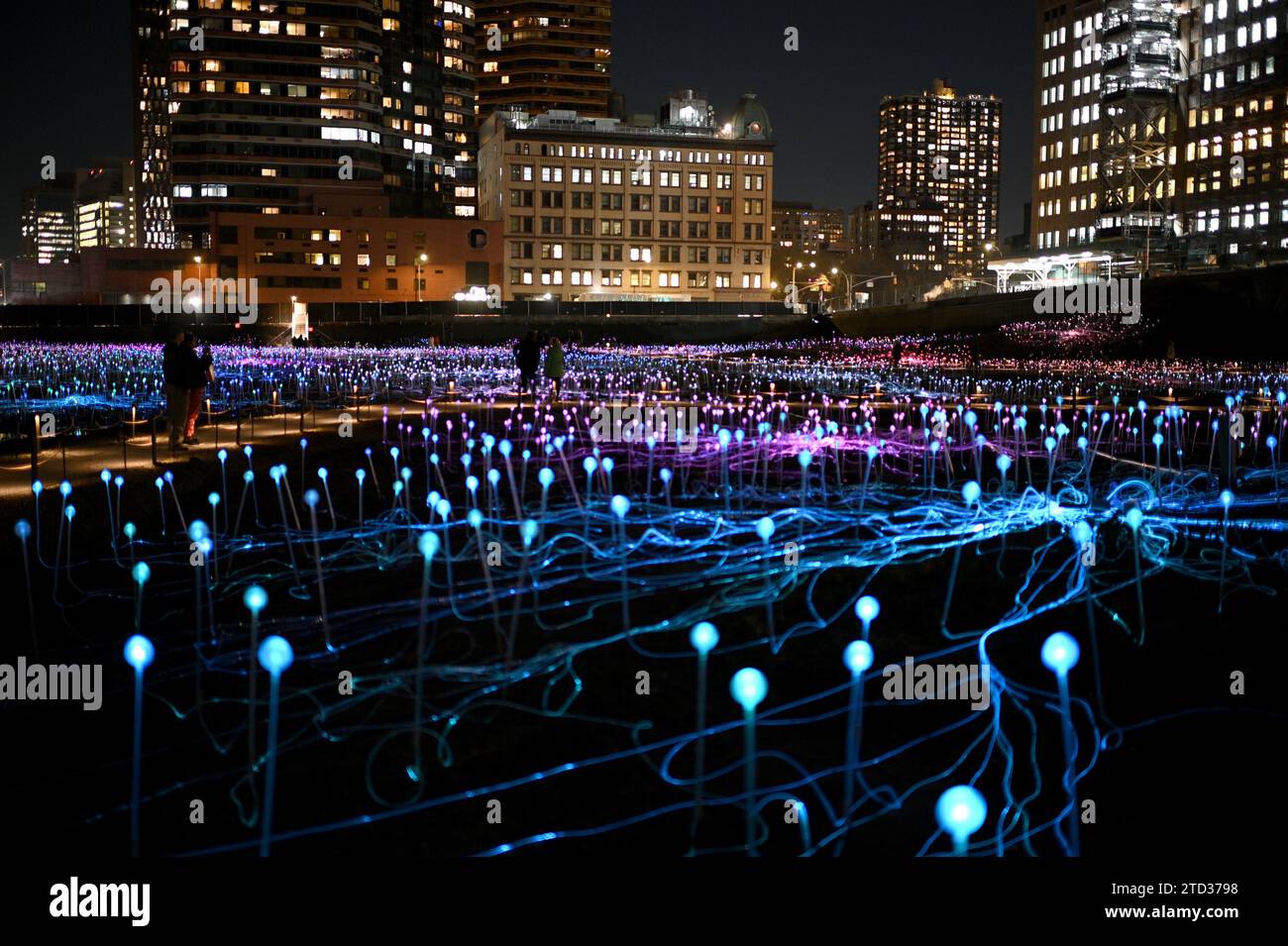 View of the public art installation by artist Bruce Munro titled 'Field ...