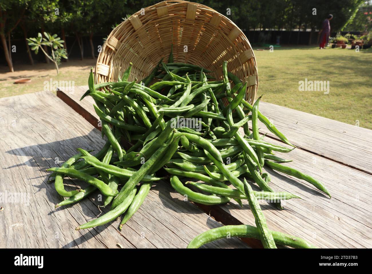 Val bean hi-res stock photography and images - Alamy