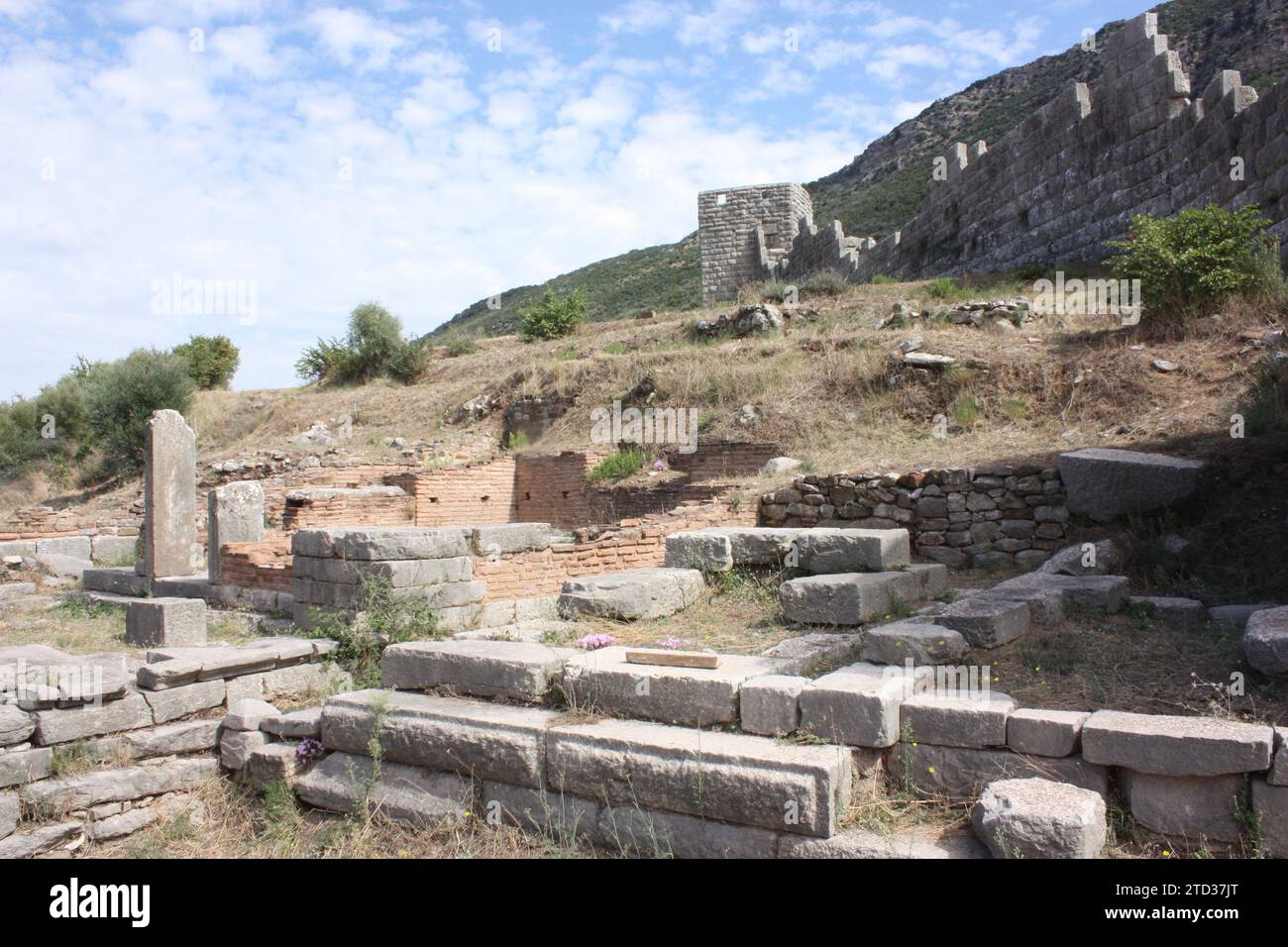 The ruins of Messene at the Gate of Arcadia, Peloponnese, Greece Stock ...