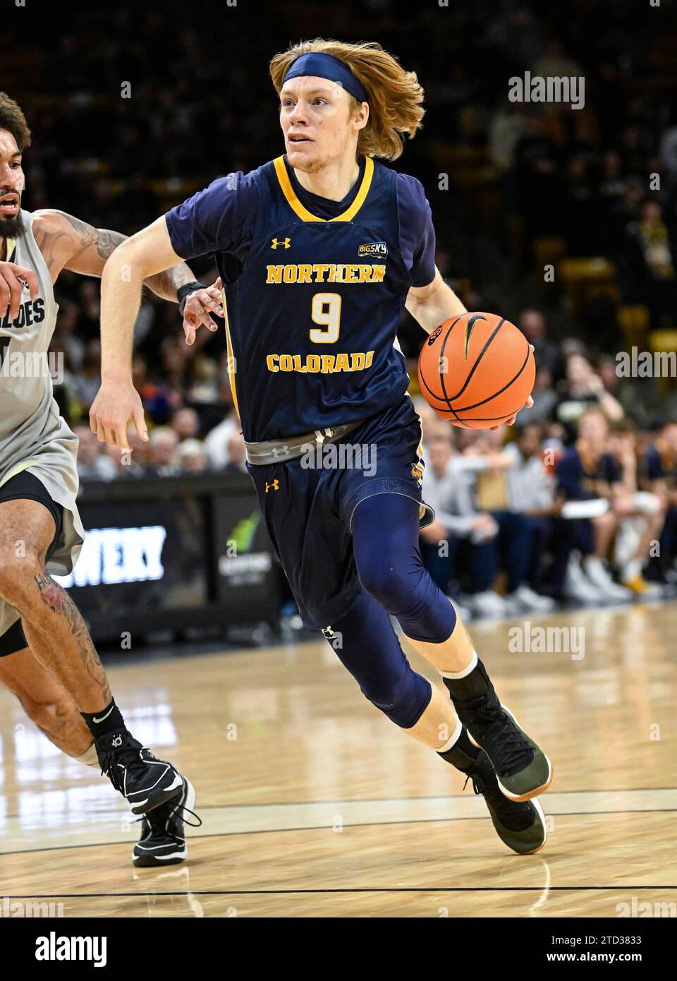 2td3833 hi-res stock photography and images - Alamy