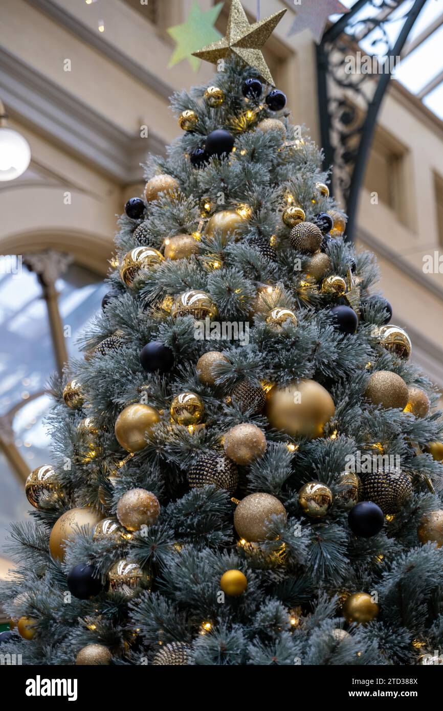 Modern christmas trees hi-res stock photography and images - Alamy
