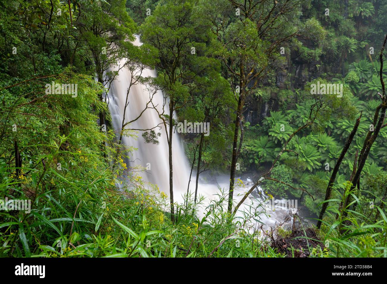 Roaring Waterfall by the Great Ocean Road in Victoria, Australia Stock ...