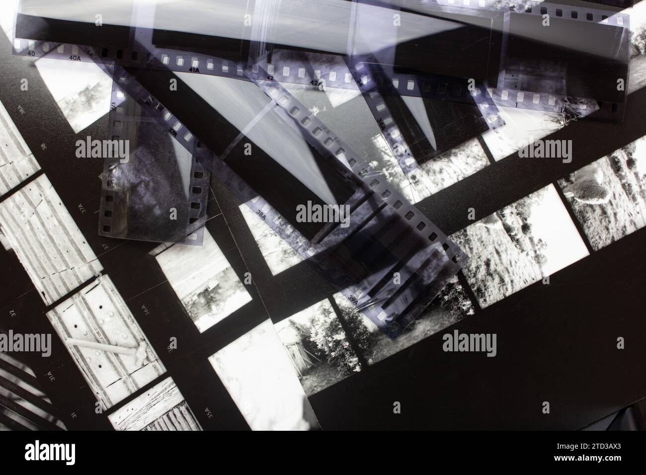 Film negatives hi-res stock photography and images - Alamy