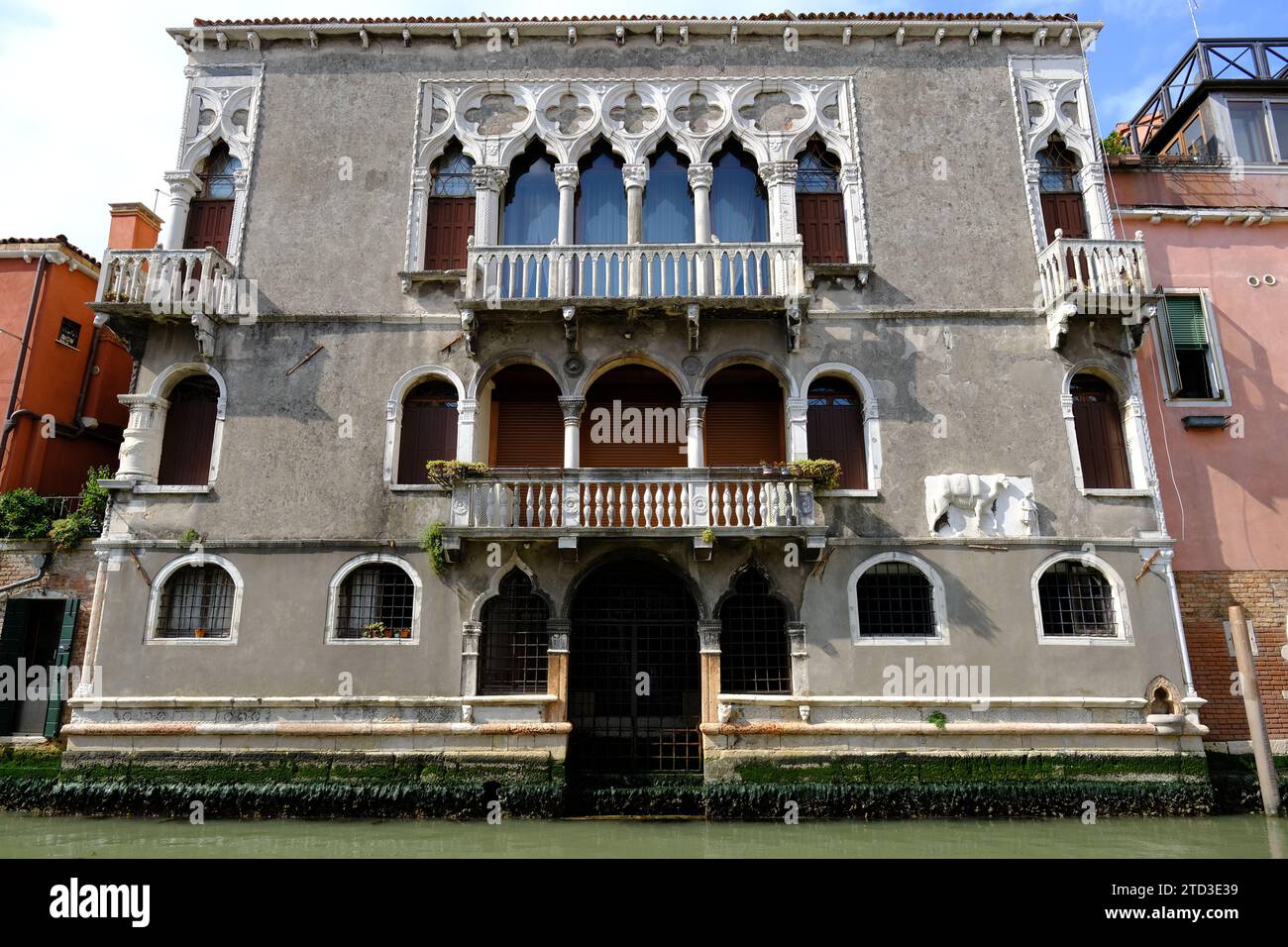 Mastelli del camello hi-res stock photography and images - Alamy