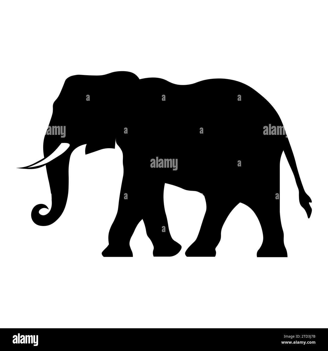 Elephant ear isolated on Stock Vector Images - Alamy