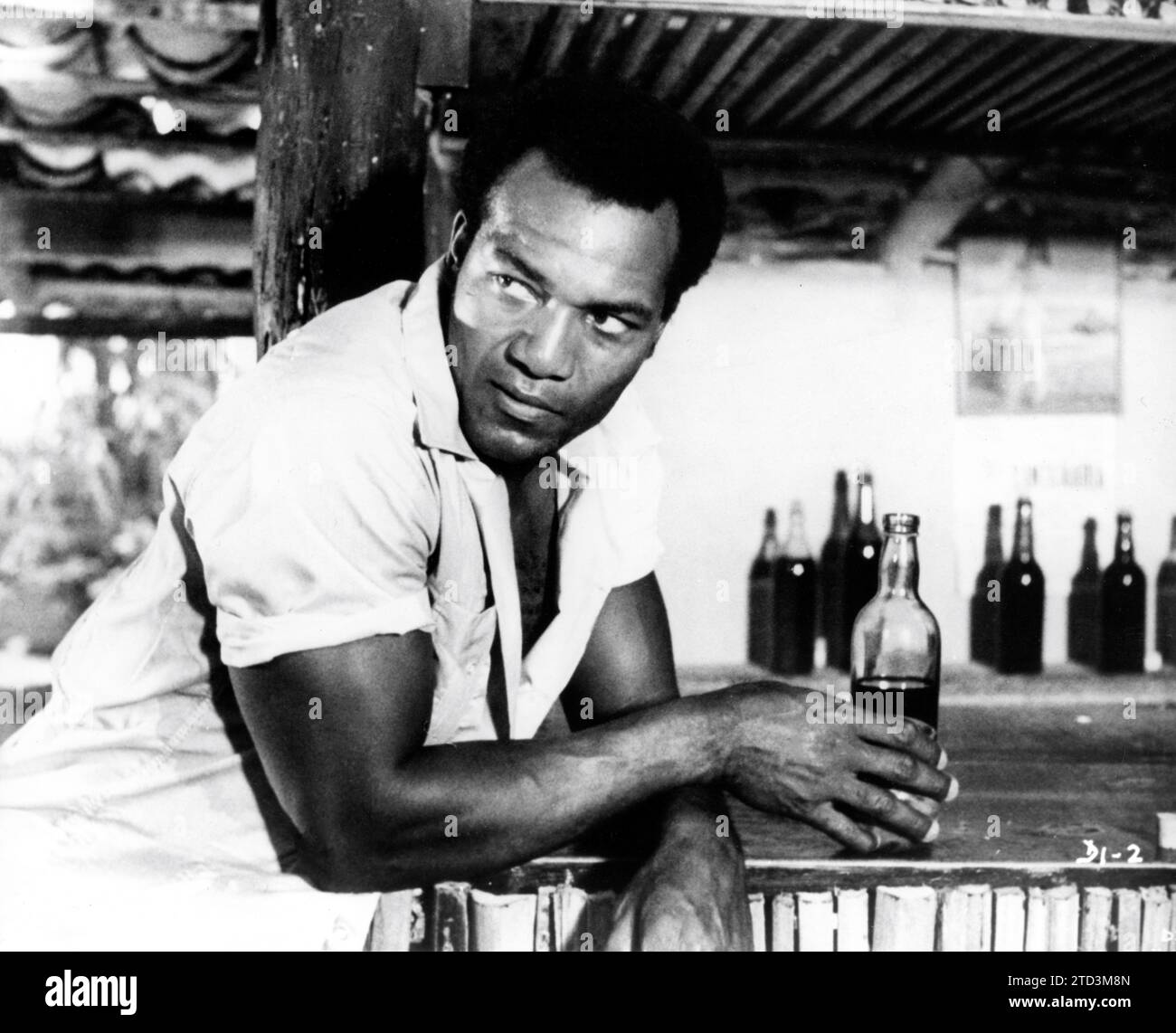 Richard adams writer hi-res stock photography and images - Alamy