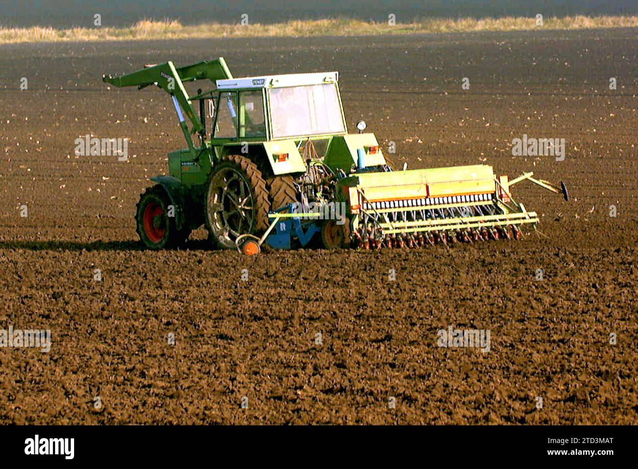 Aussat von Winterweizen - gesehen am 07.11.2023 in der Feldmark bei ...