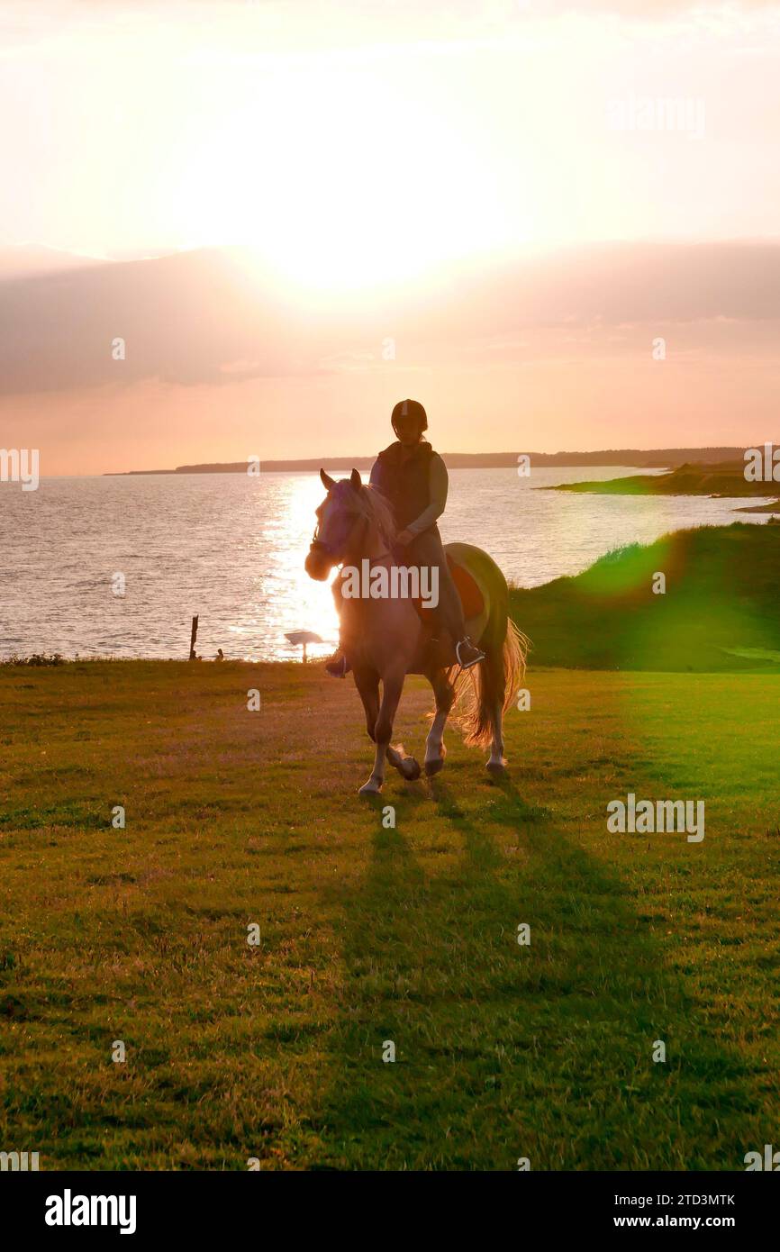 Sunset Horseback Riding on the Beach with the ocean in the background ...