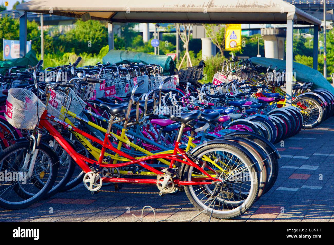 Seoul, South Korea - June 2, 2023: A lineup of bicycles at Gwangnaru ...