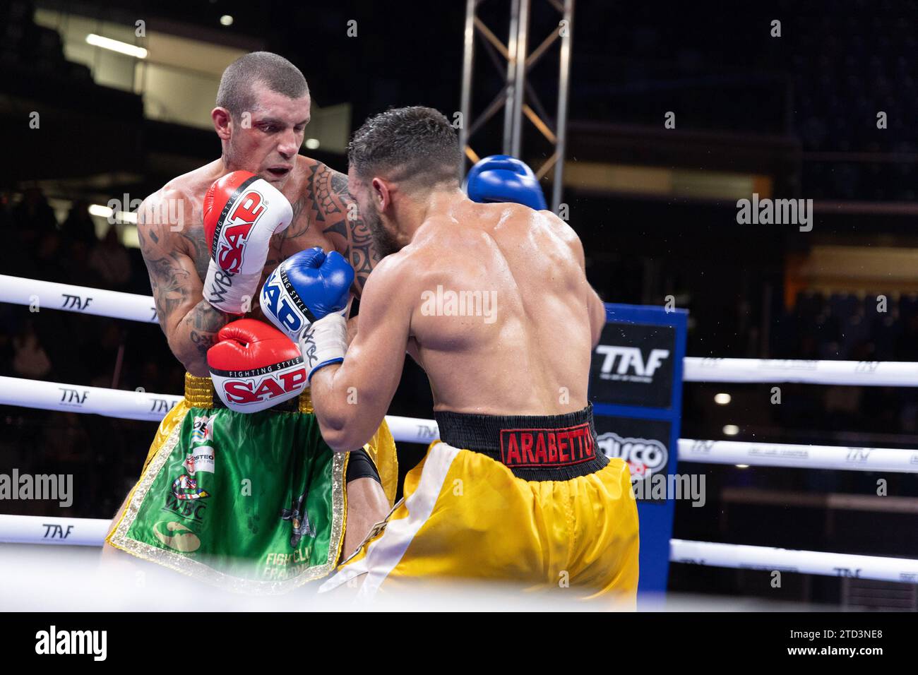 WBC Mediterranean title - 15/12/2023 â€“ Allianz Cloud Arena Milan â ...