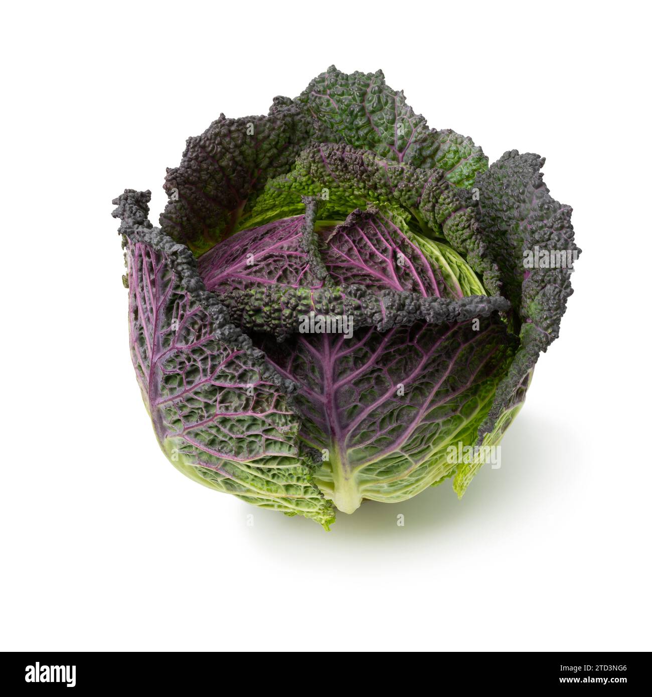Deadon cabbage hi-res stock photography and images - Alamy